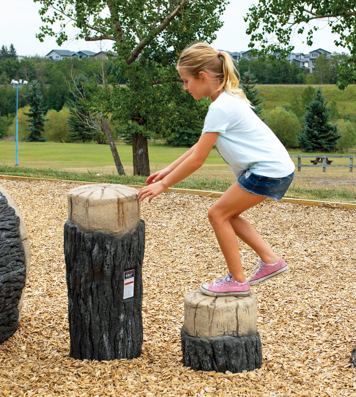 Log Steps - Blue Imp