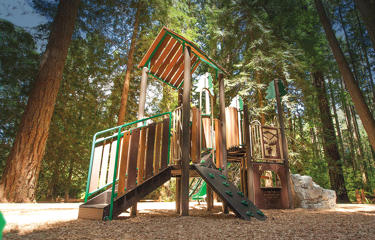 Environmental Sustainability - Blue Imp